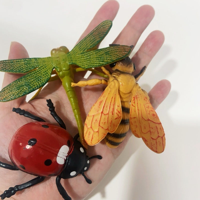 12 pcs Insects set- Montessori Educational Toys – Specialty Toys Australia