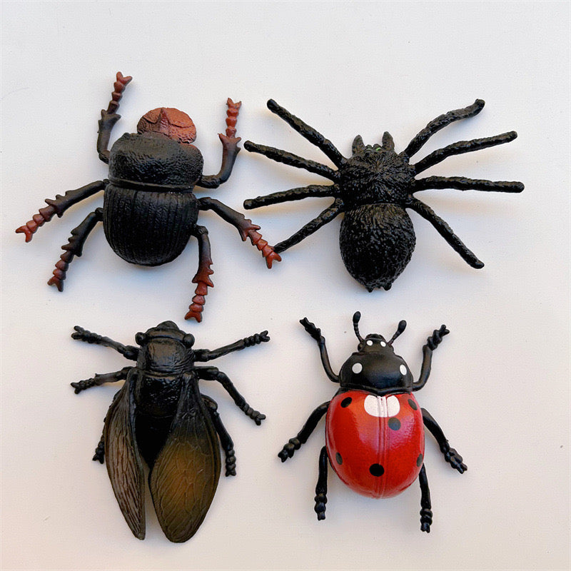 12 pcs Insects set- Montessori Educational Toys – Specialty Toys Australia