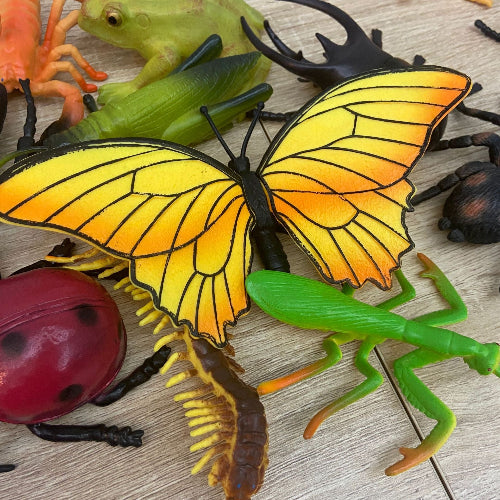 Large Insects set of 24 - The Best Montessori Toys – Specialty Toys ...