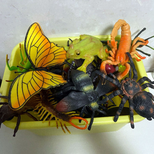 Large Insects set of 24 - The Best Montessori Toys – Specialty Toys ...