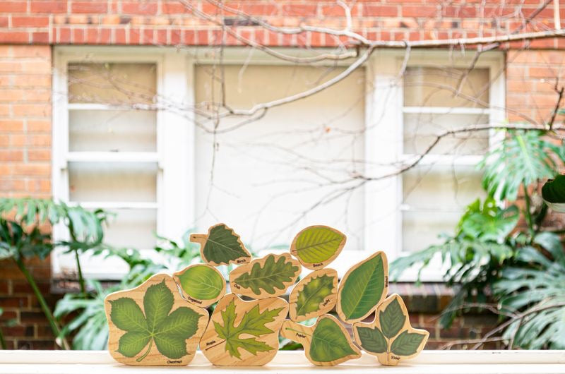 Wooden Stacking Leaves- The best Open Ended Play Toy – Specialty Toys ...