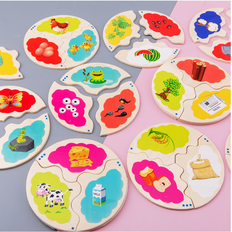 Wooden Evolution Puzzle-Mathematics toys – Specialty Toys Australia