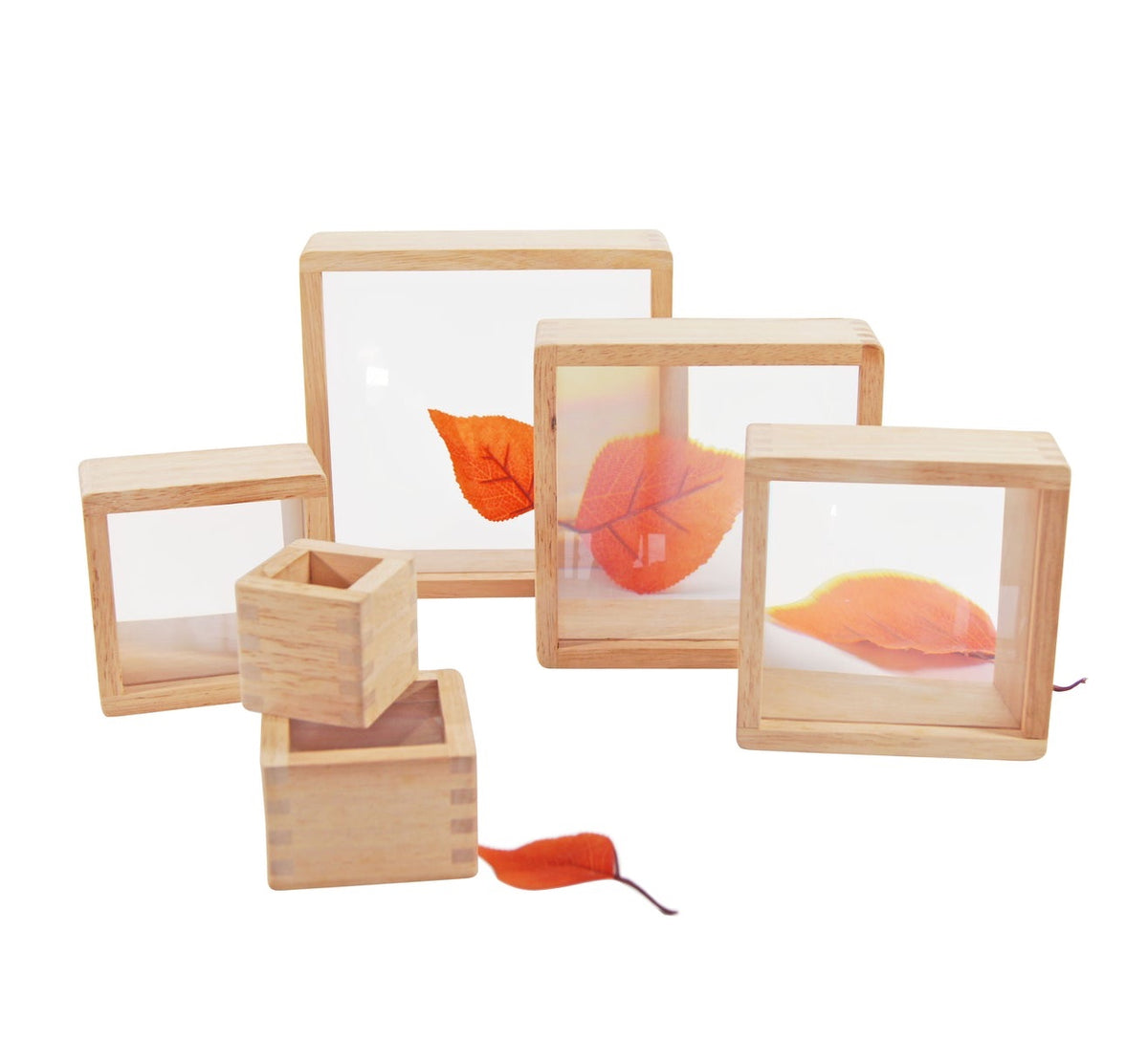 Kidpik Wooden Magnifying Blocks - Sensory toys – Specialty Toys Australia