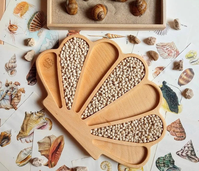 Wooden Shell Sensory Play Tray - Open ended wooden toys – Specialty ...
