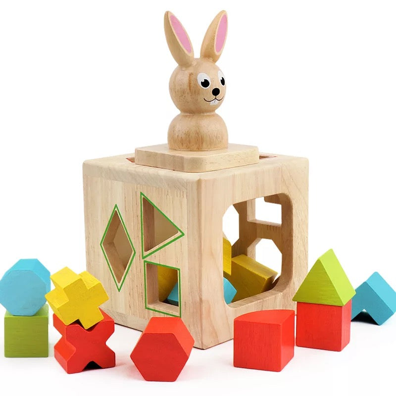 Wooden Rabbit Shape Box- Fine motor skills toys – Specialty Toys Australia