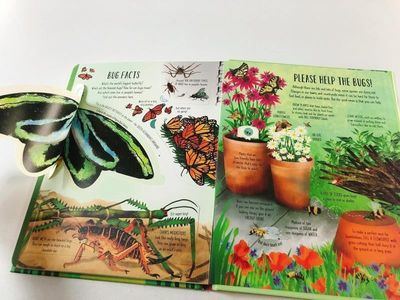 Lift-the-flap Interactive Book - Bugs and Butterflies – Specialty Toys ...