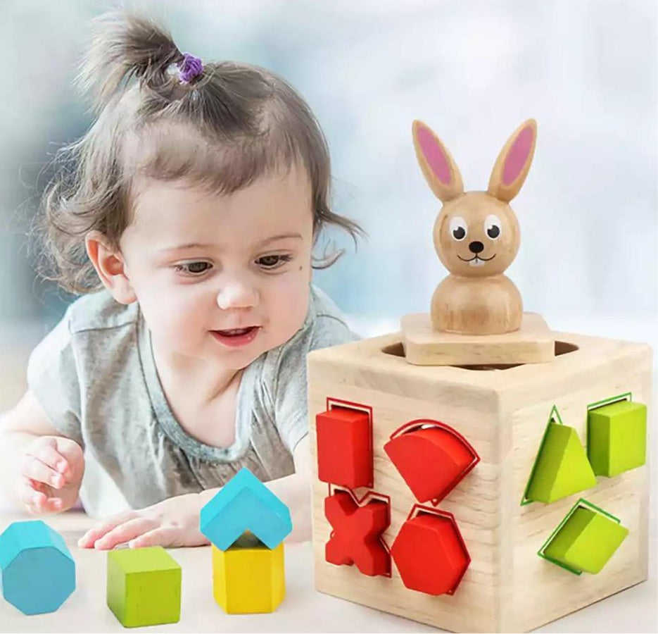 Wooden Rabbit Shape Box- Fine motor skills toys – Specialty Toys Australia