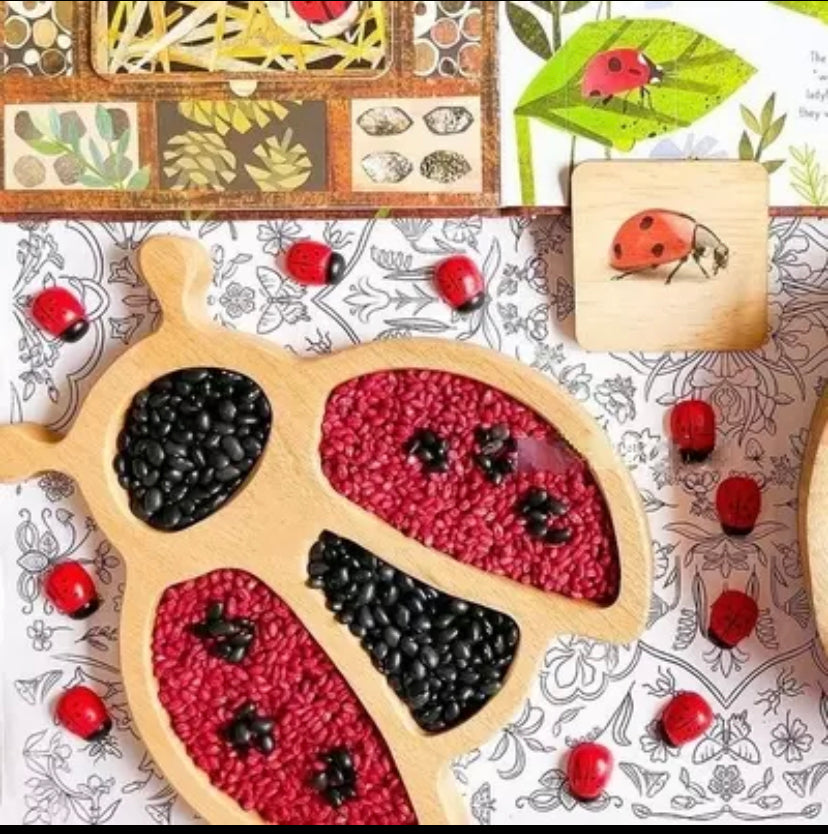 Wooden Ladybug Sensory Play Tray - Best Open Ended Play Toys ...