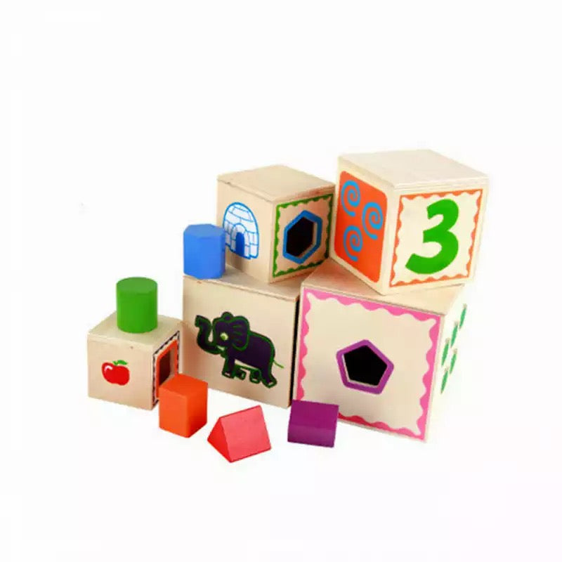 Wooden Nesting & Stacking Cubes Set of 5-Fine motor skills toys ...