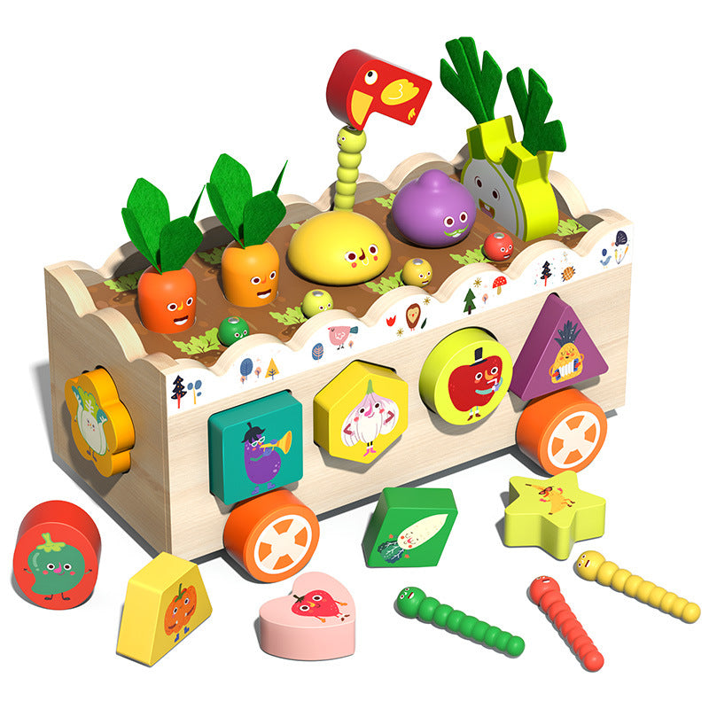 Multiple Functions Vegetables Box - Fine Motor Skill Toys – Specialty ...