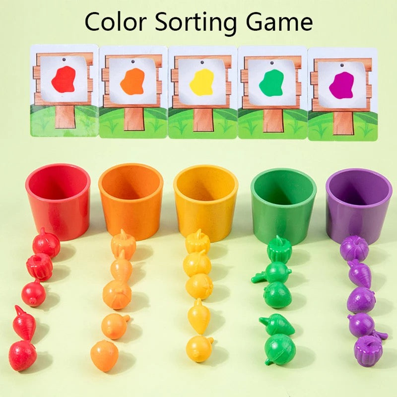 Fruit and Veggie Sorting & Counting Game- Mathematics toys – Specialty ...