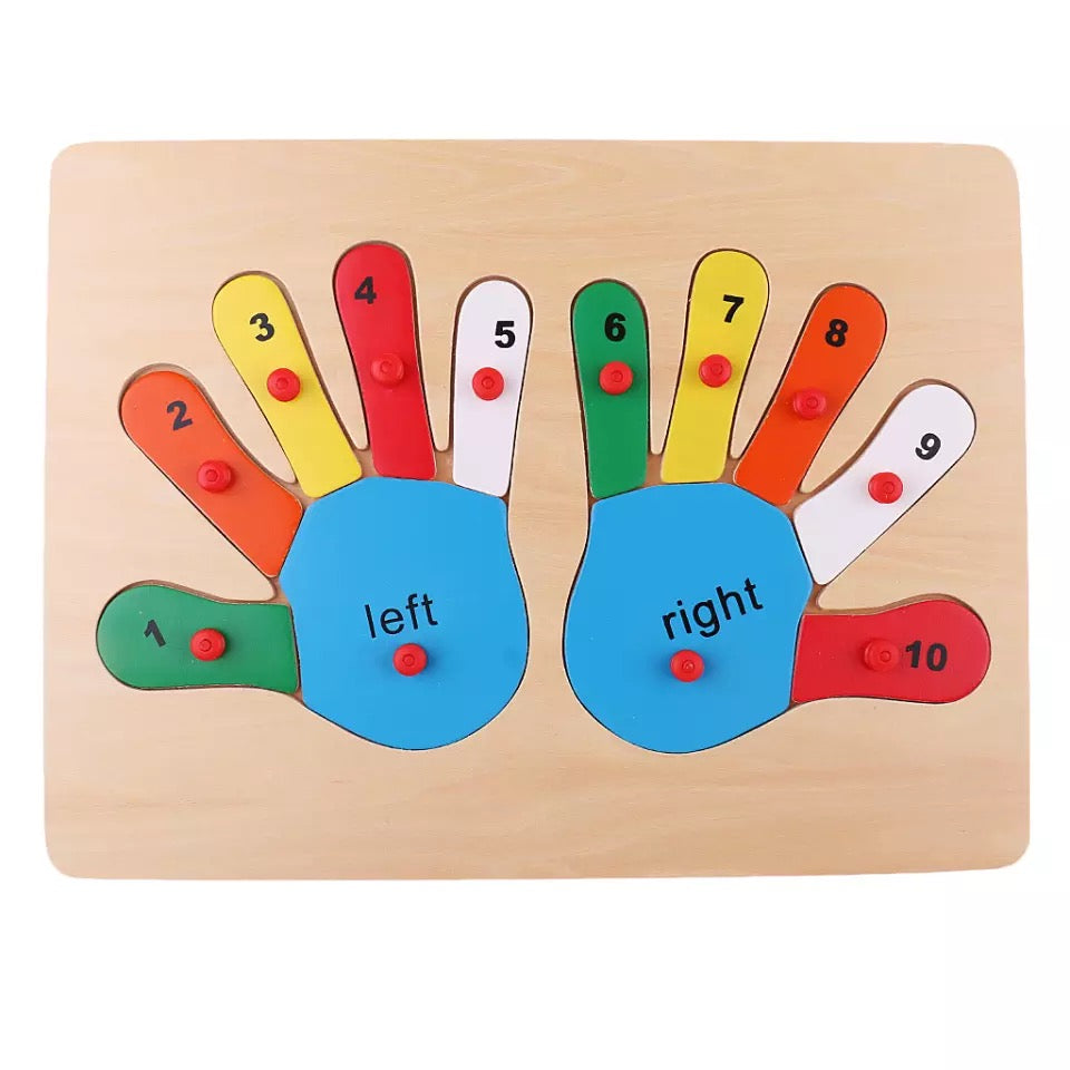 Number Hands Puzzle- Fine motor skills toys – Specialty Toys Australia